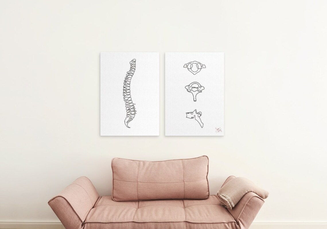 Spine Line Drawing Spine Art Anatomy Art - Etsy