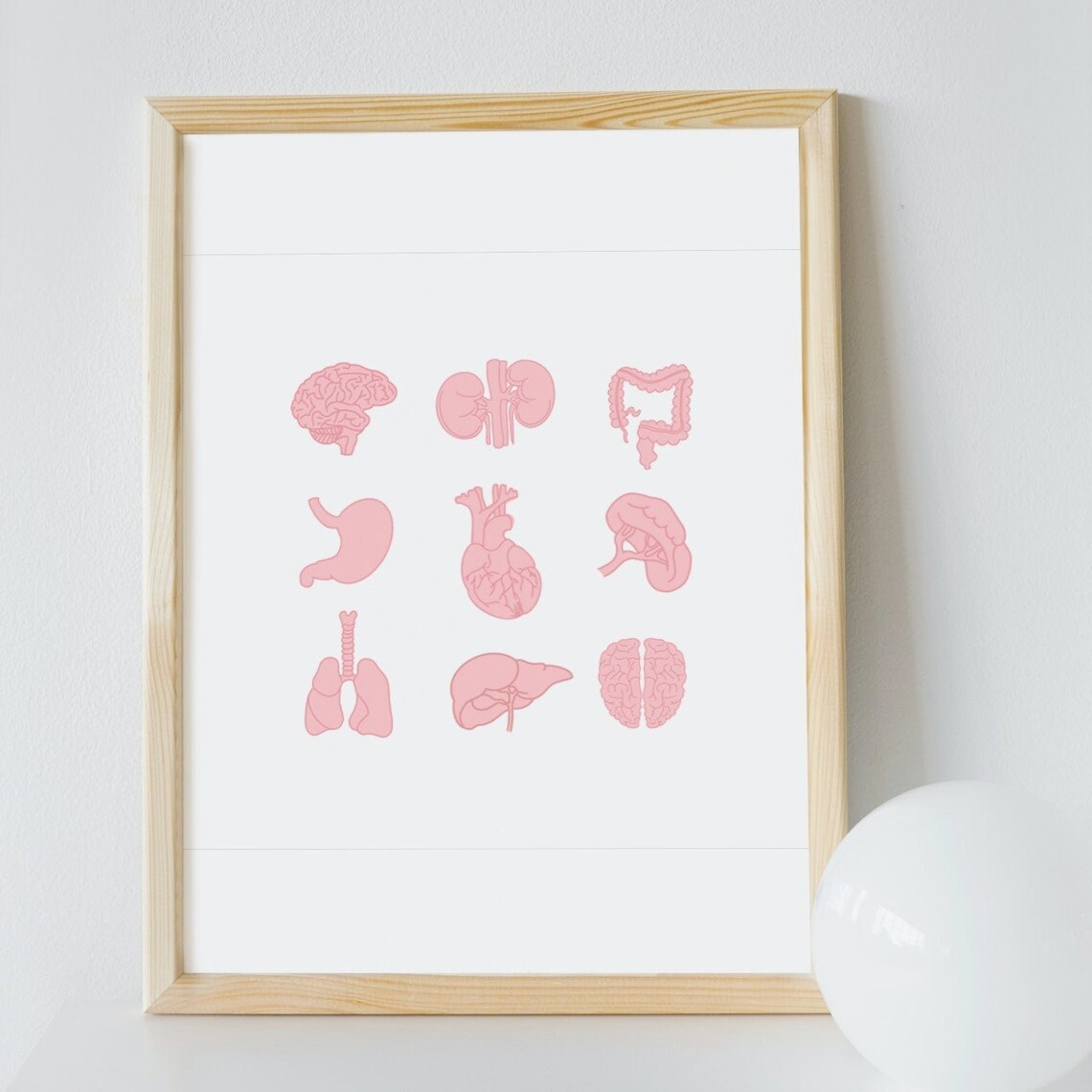 Human Anatomy Clip Art | Human Organs Clipart - Etsy