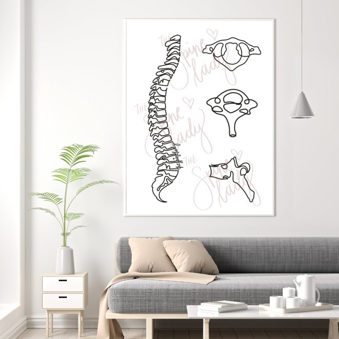 Spine and Vertebra Line Drawing Chiropractic Wall Art Anatomy Art - Etsy