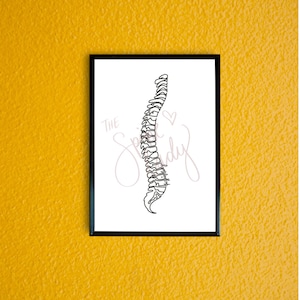 Spine Line Drawing Spine Art Anatomy Art - Etsy