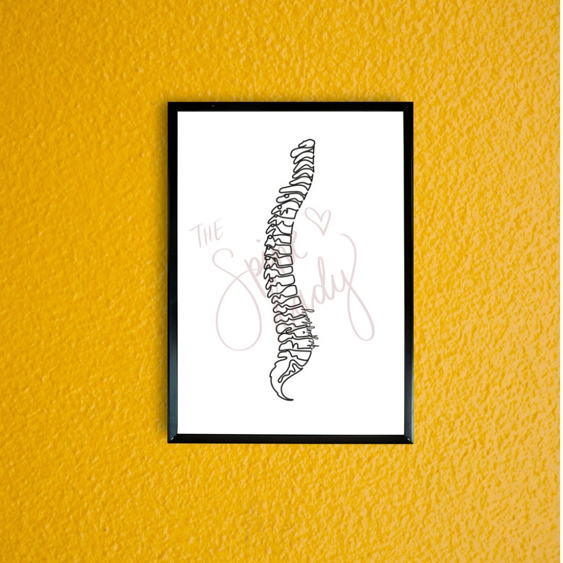 Spine Line Drawing Spine Art Anatomy Art - Etsy