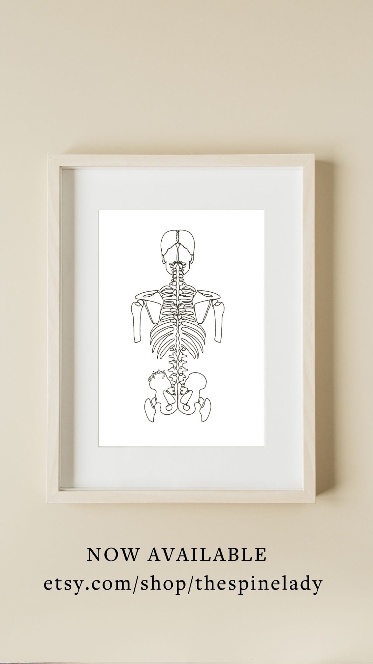 FULL SPINE Line Drawing - Etsy
