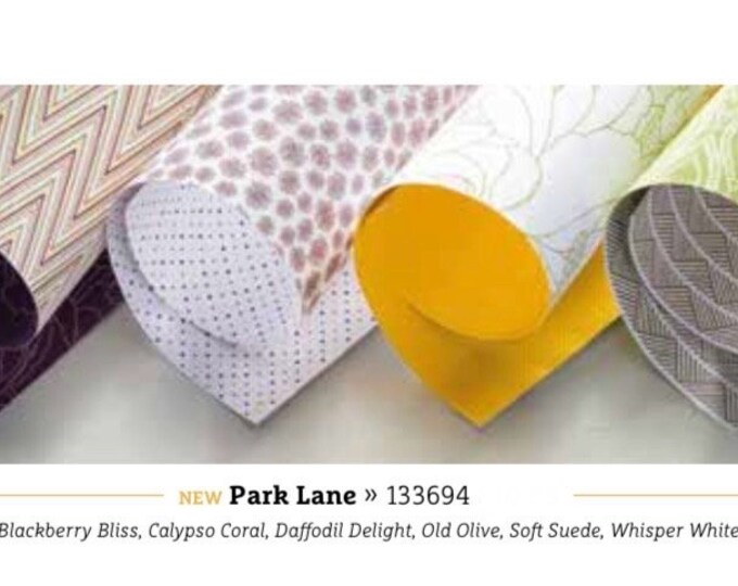 12 Sheets - Park Lane Designer Series Paper Sampler by Stampin Up - Etsy
