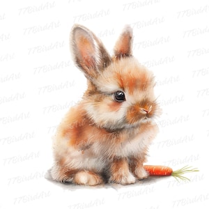 14 Cute Bunny Clipart Set, Watercolor Rabbit Clipart, Printable ...