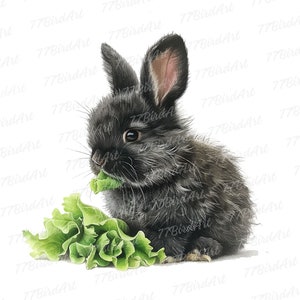 14 Cute Bunny Clipart Set, Watercolor Rabbit Clipart, Printable ...