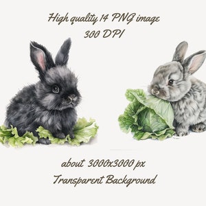 14 Cute Bunny Clipart Set, Watercolor Rabbit Clipart, Printable ...