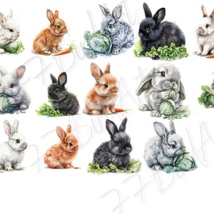 14 Cute Bunny Clipart Set, Watercolor Rabbit Clipart, Printable ...