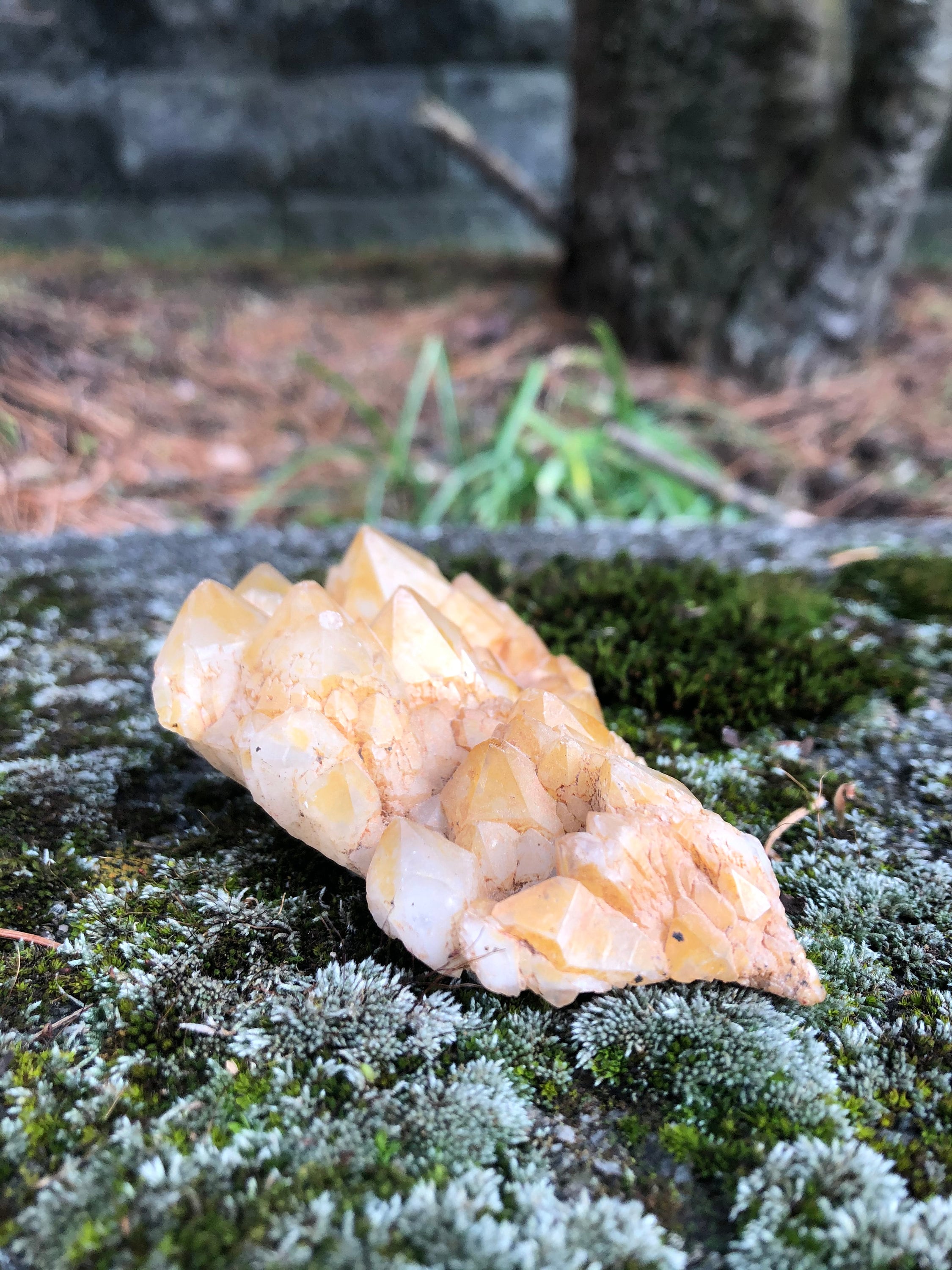 Iron Stained Milky Quartz Cluster Orange Milky Quartz | Etsy