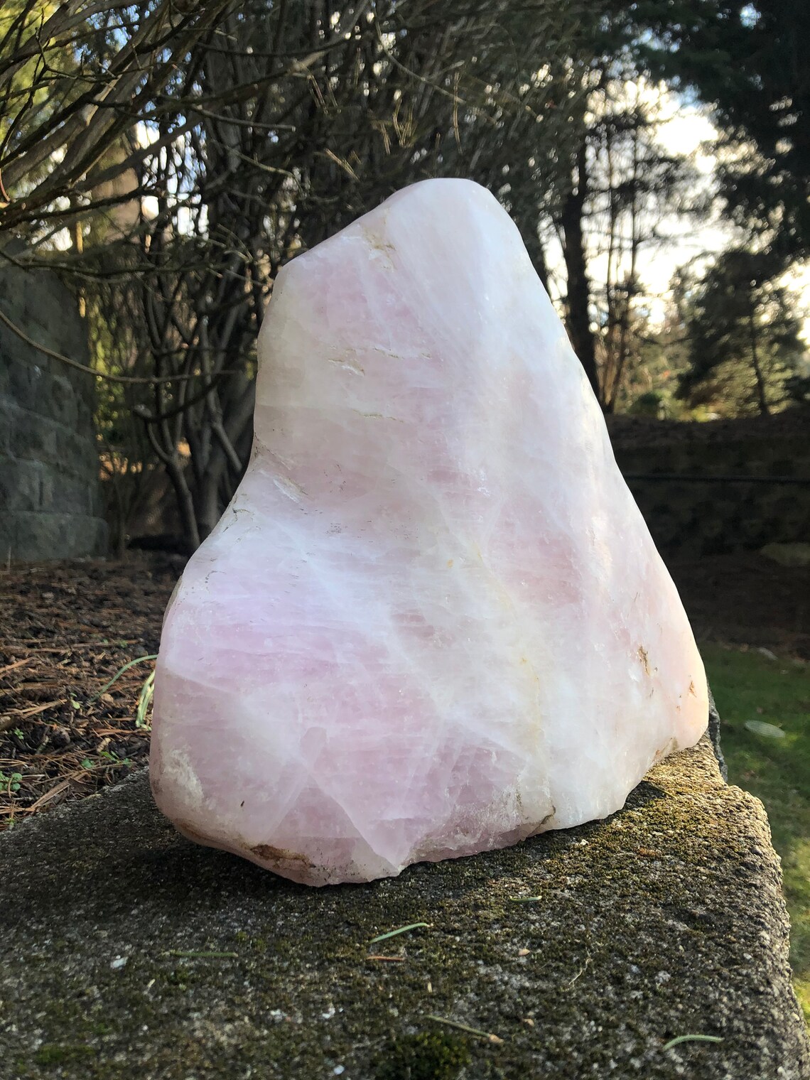 22 LB Rose Quartz Mountain Enormous Rose Quartz Crystal - Etsy