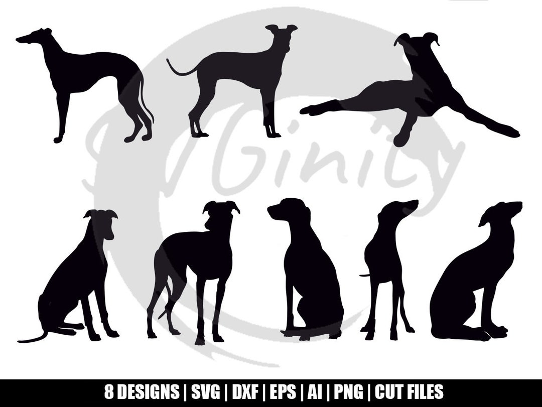 Greyhound SVG Dog SVG Bundle Greyhound Silhouette Cut Files Vector ...