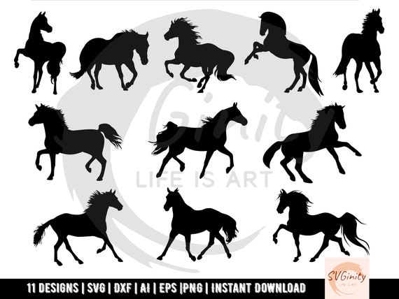 Horse Cut File Horse SVG Silhouette Horse Clipart Vector | Etsy