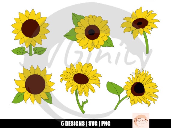 Sunflowers SVG Sublimation Sunflower Clipart PNG Vector | Etsy