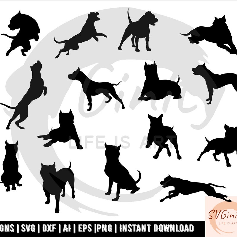 Pitbull Svg - Etsy