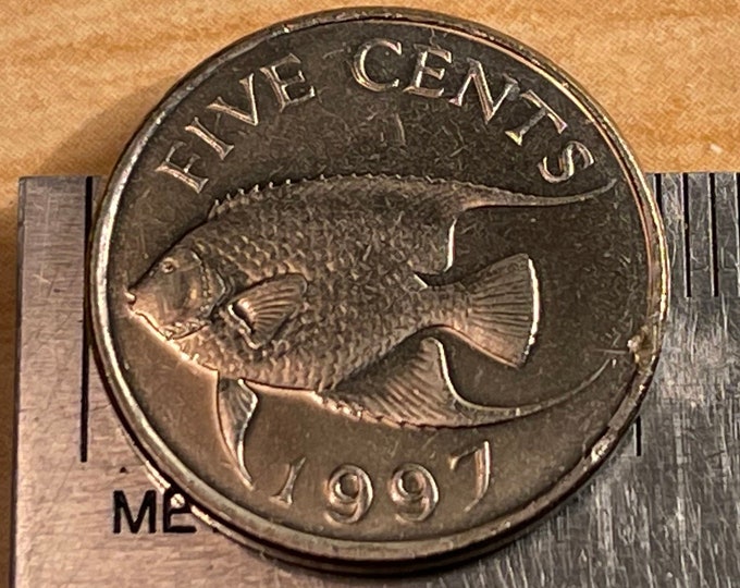 Tuna St Helena & Ascension Authentic Coin Money Penny for Jewelry and ...