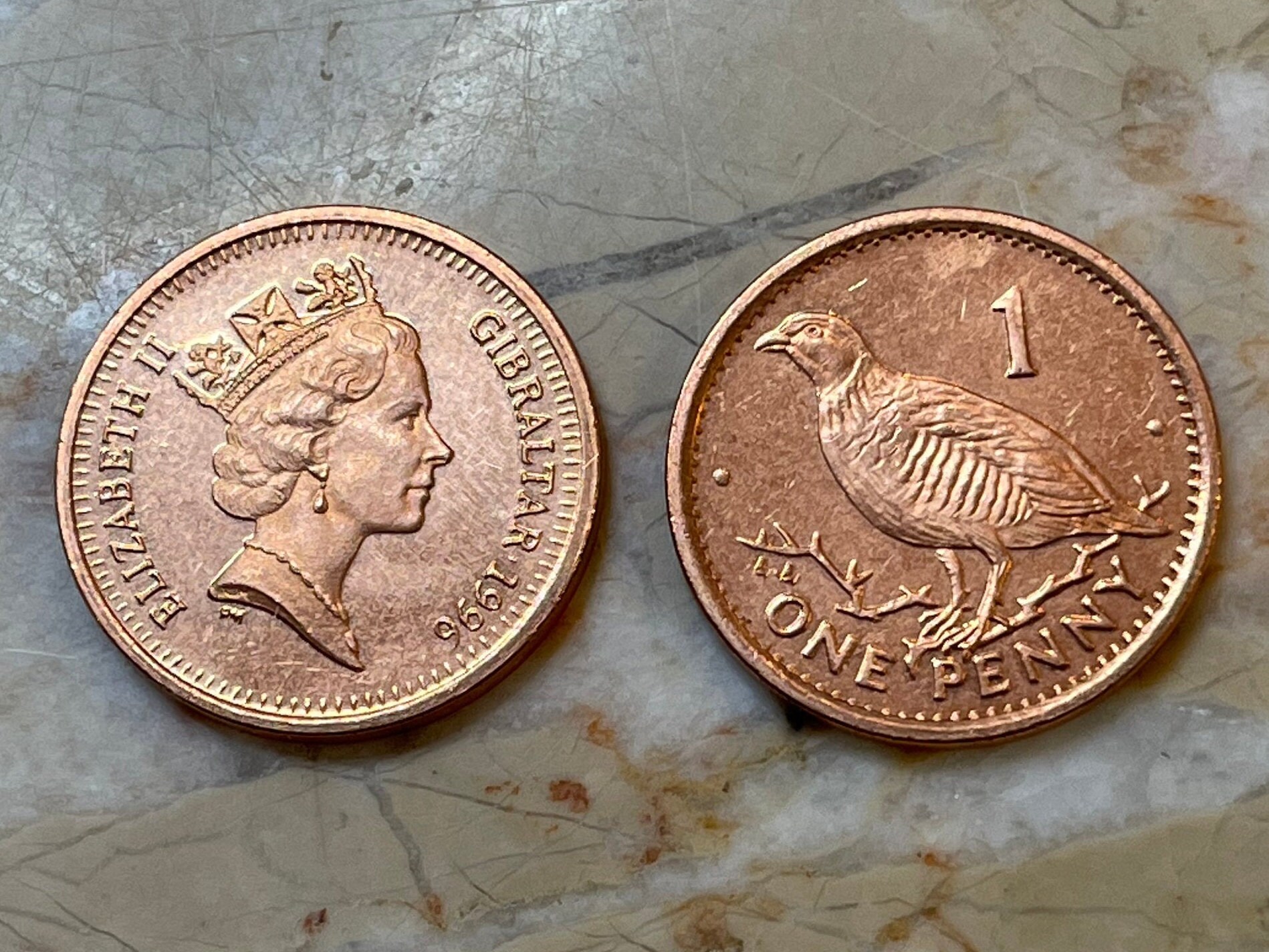 Barbary Partridge Gibraltar 1 Penny Authentic Coin Money for - Etsy