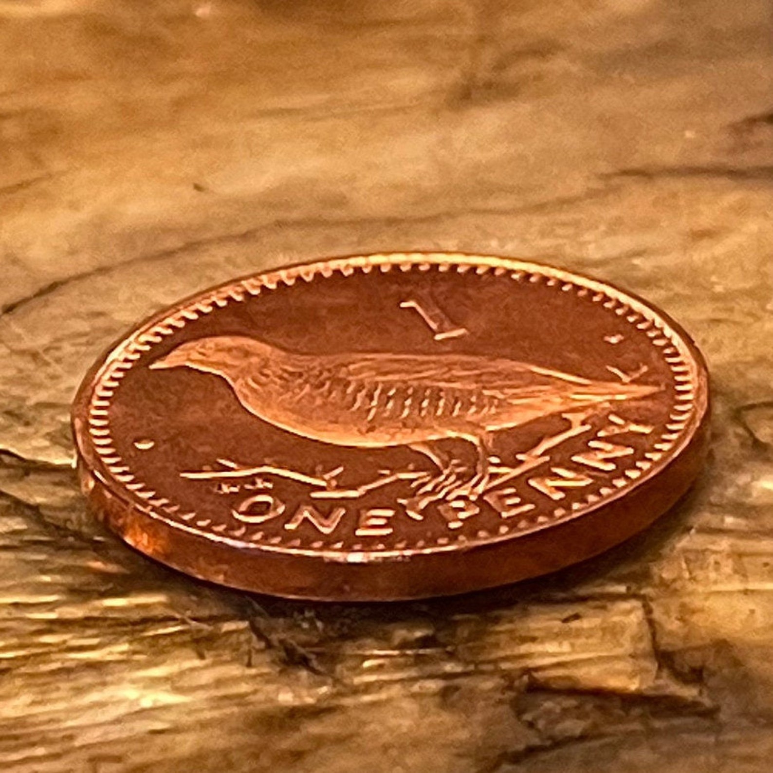 Barbary Partridge Gibraltar 1 Penny Authentic Coin Money for - Etsy