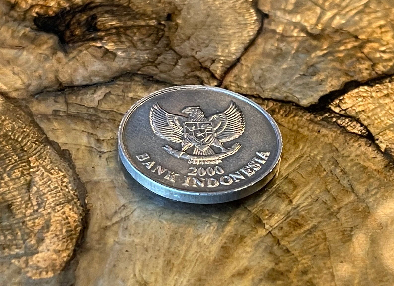 Garuda & Cockatoo Indonesian Authentic Coin Money Rupiah for Jewelry ...