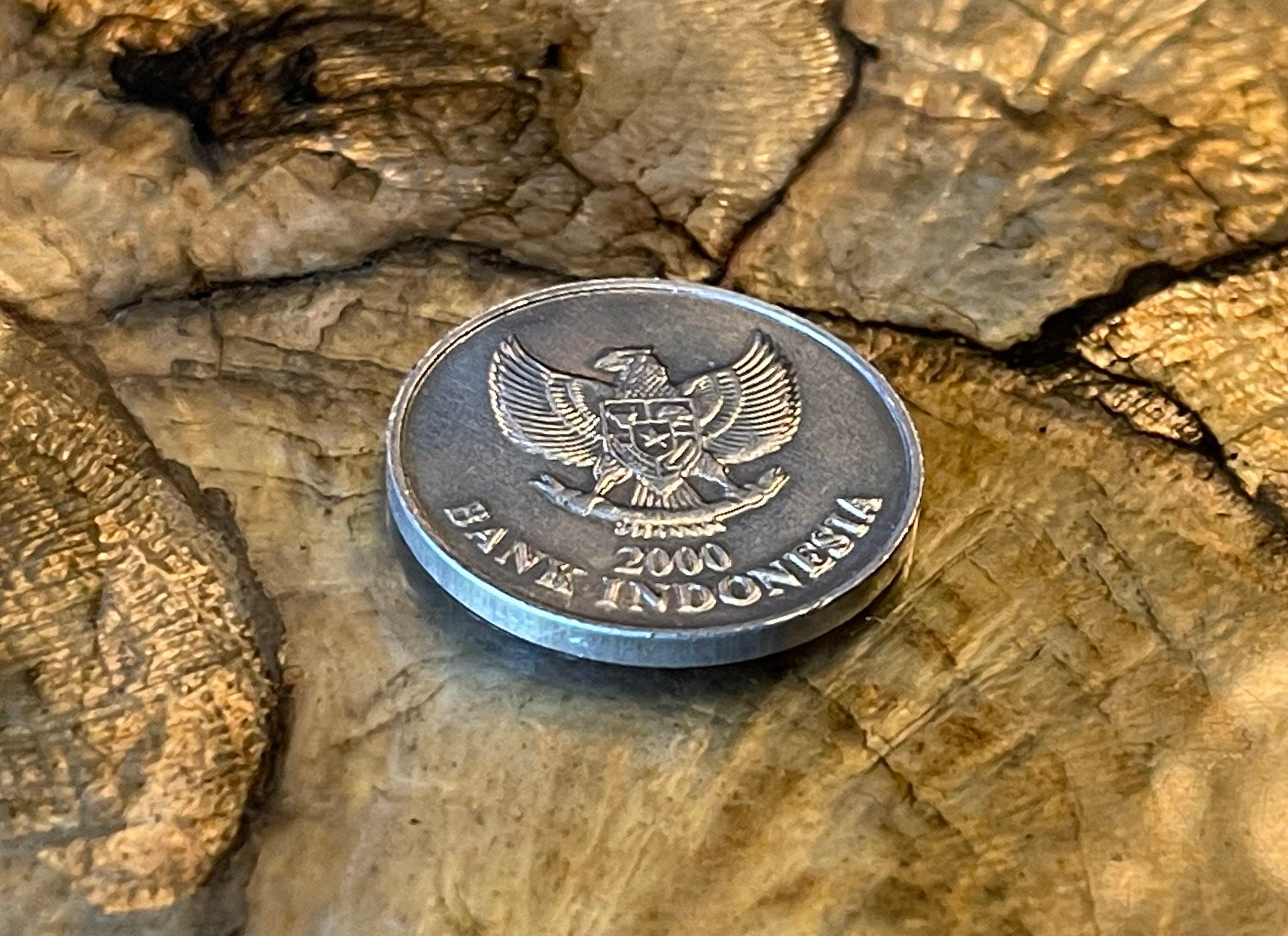 Garuda & Cockatoo Indonesian Authentic Coin Money Rupiah for Jewelry ...