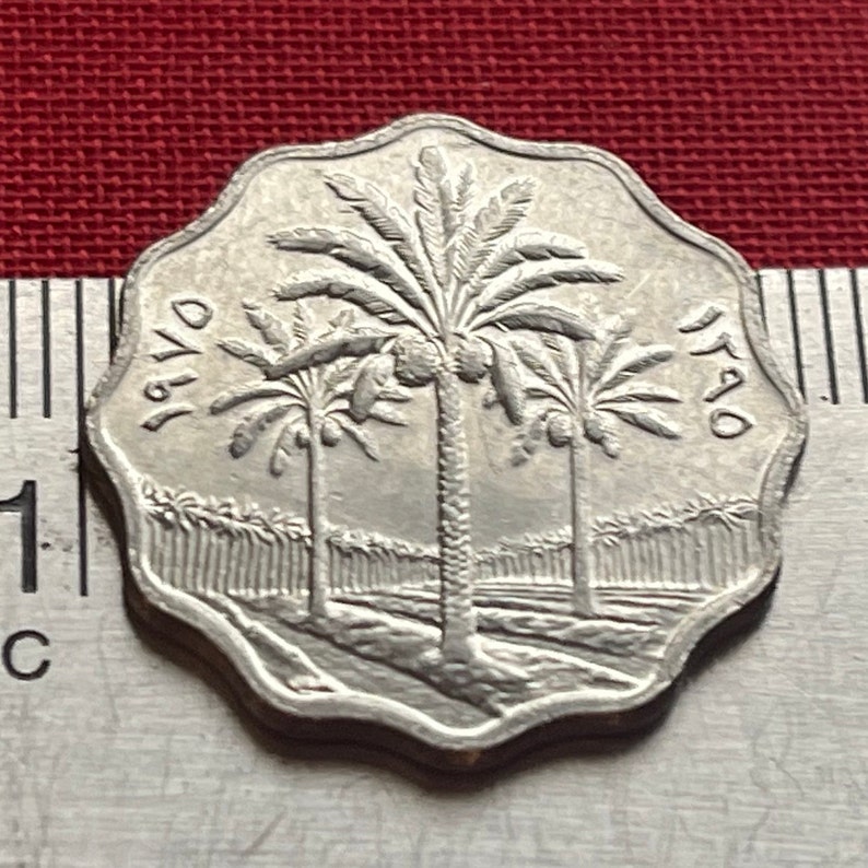 Date Palm Trees Iraq Coin: 5 Fils Scalloped Money, Jewelry Craft - Etsy