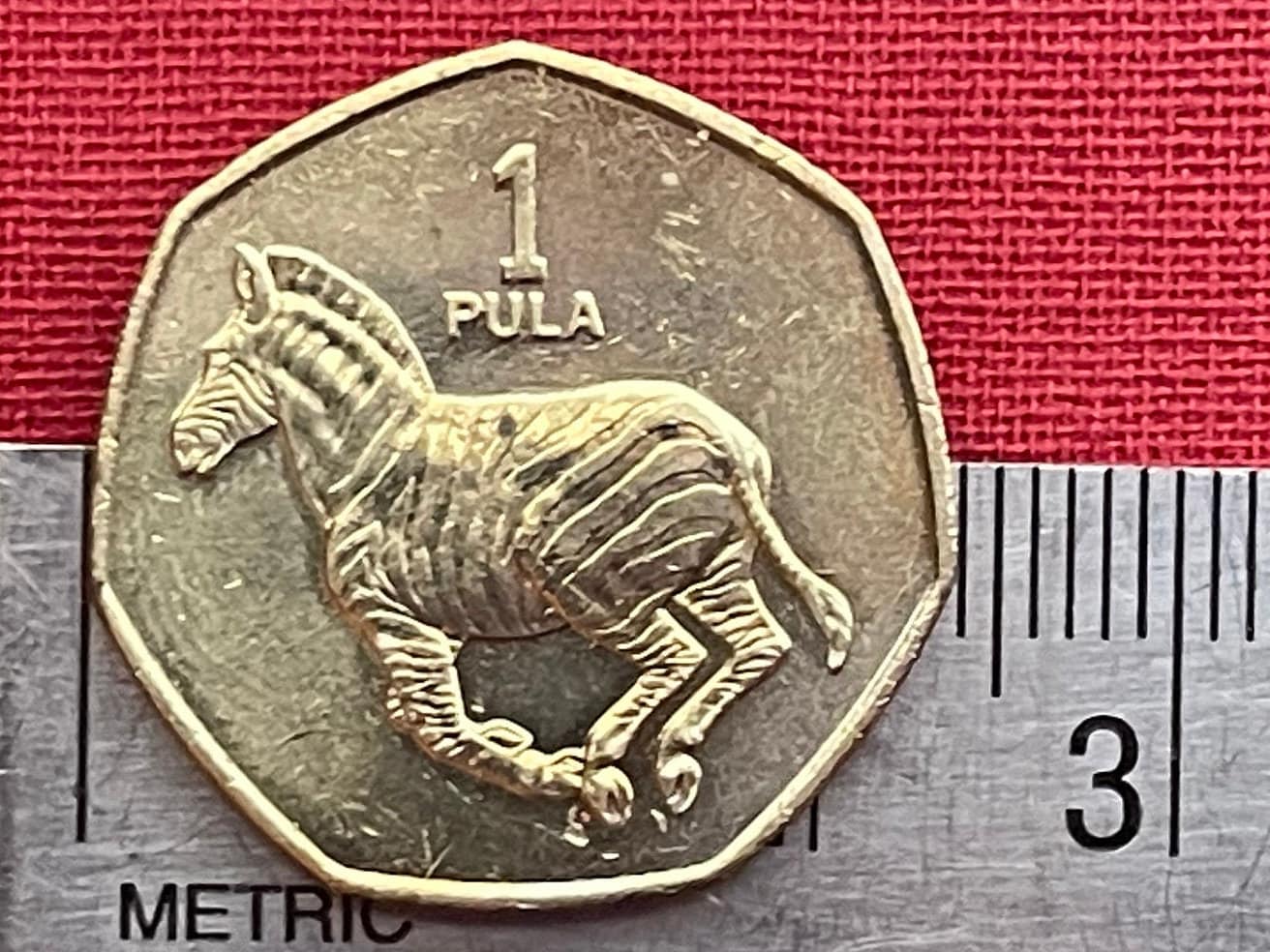Zebra 1 Pula Botswana Authentic Coin Money for Jewelry and | Etsy