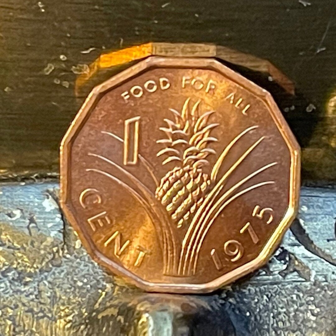 1975 Swaziland 1 Cent Coin: Pineapple & King Sobhuza, Dodecagonal - Etsy
