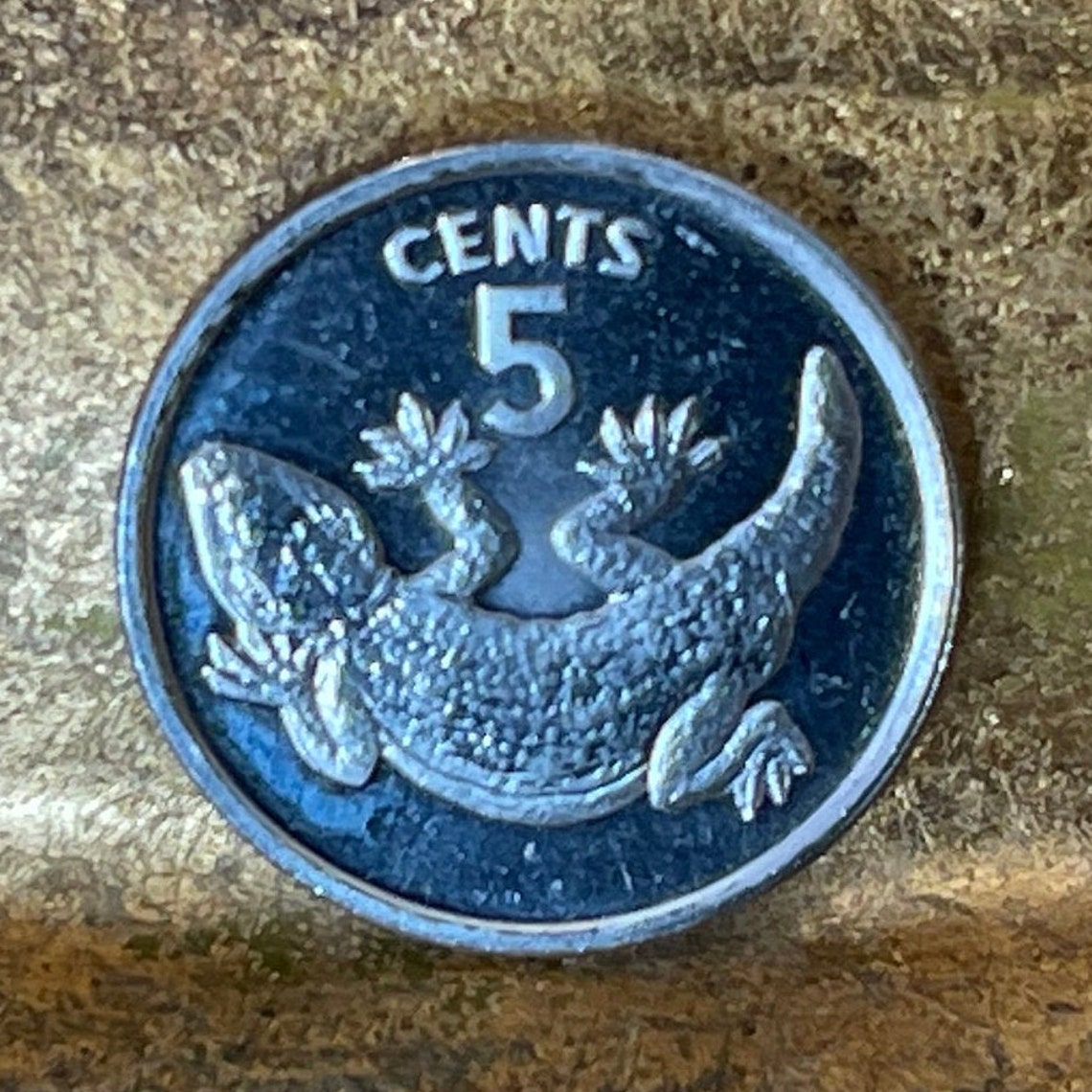 Tokay Gecko 5 Cents Kiribati Authentic Coin Money for Jewelry | Etsy