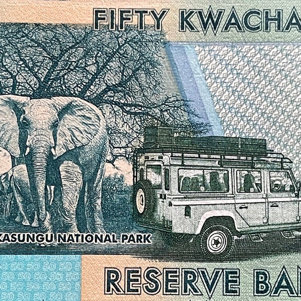 African Cichlid - Etsy