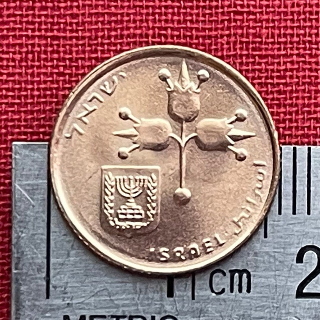 Pomegranate Israel Coin: 10 New Agorot, Jewelry Craft Supply - Etsy