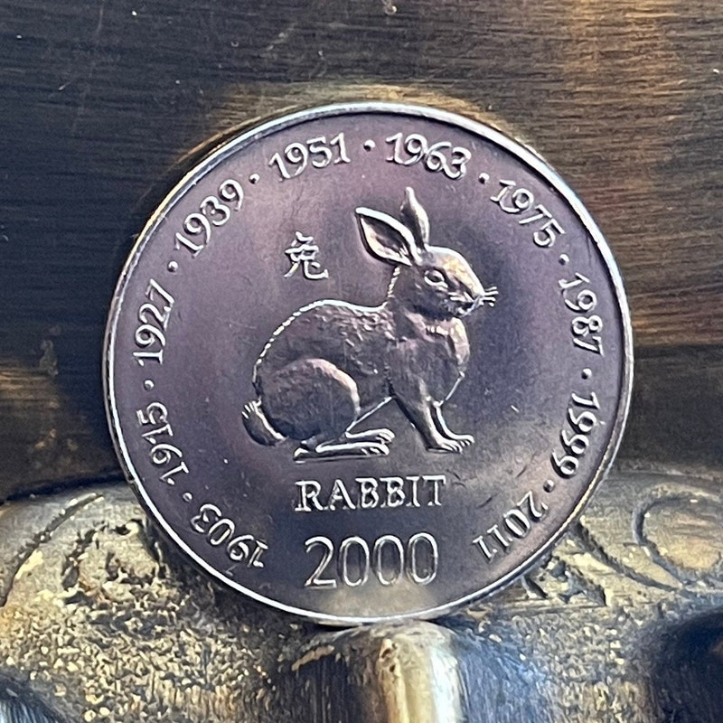 Rabbit Coin - Etsy