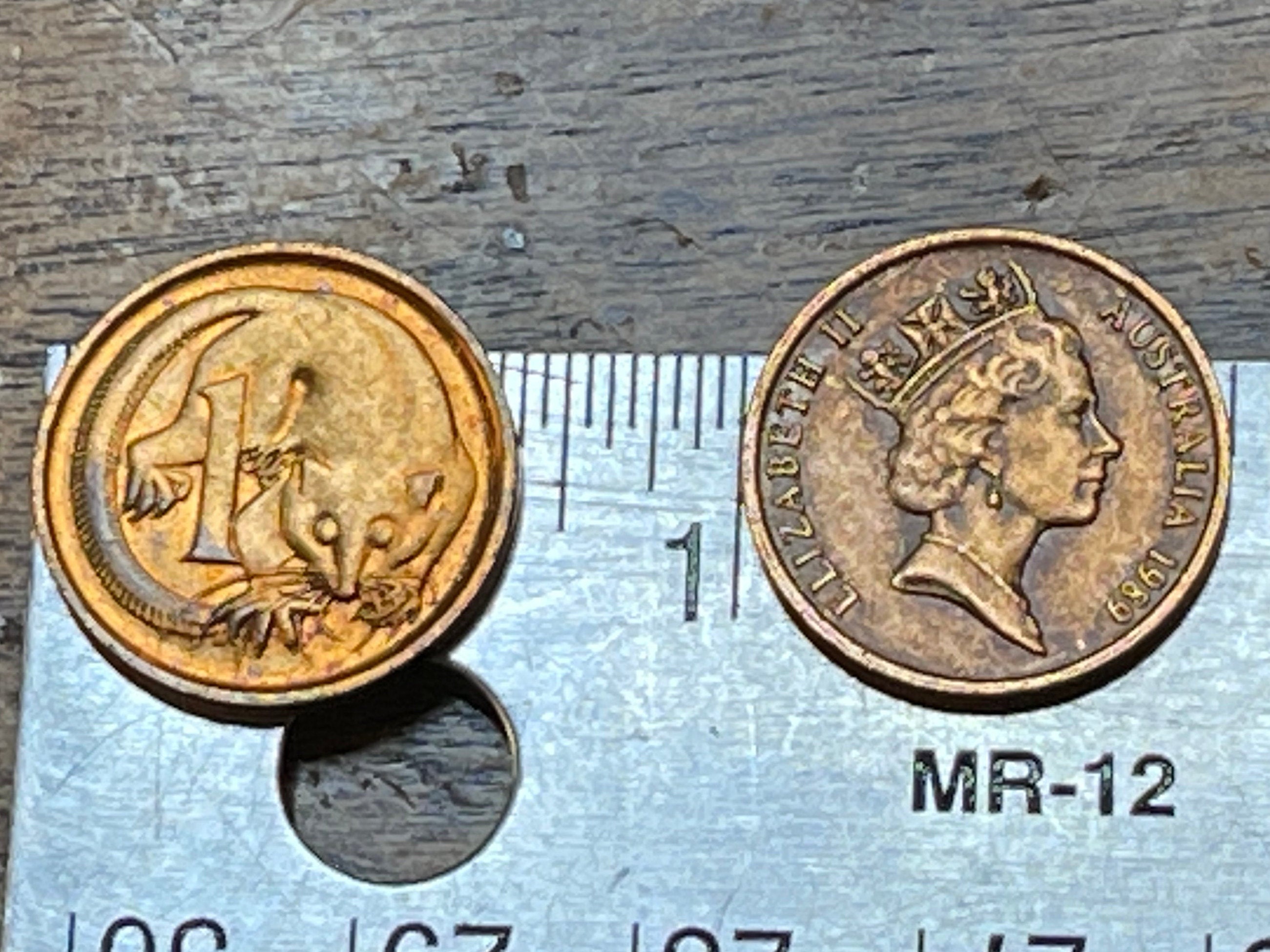 Feathertail Glider 1 Cent Australia Authentic Coin Money for Jewelry ...