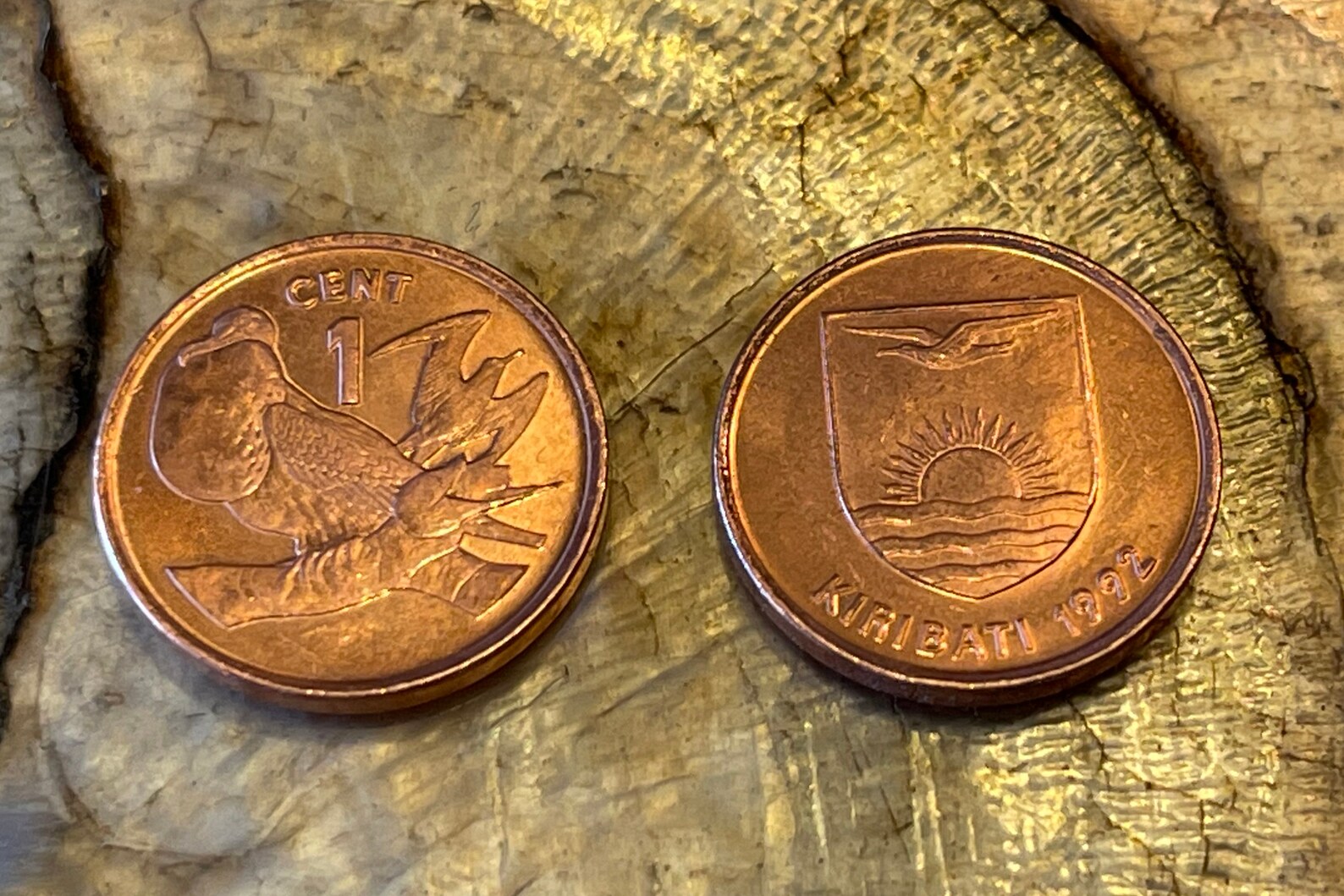 Frigate Bird Kiribati Authentic Coin Money Penny for Jewelry and Craft ...