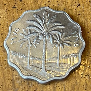 Date Palm Trees Iraq Coin: 5 Fils Scalloped Money, Jewelry Craft - Etsy