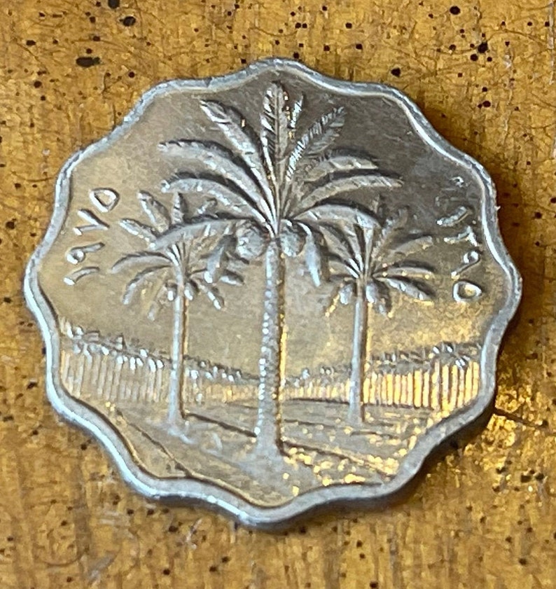 Date Palm Trees Iraq Coin: 5 Fils Scalloped Money, Jewelry Craft - Etsy