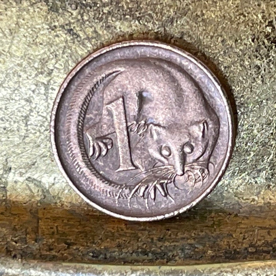 Feathertail Glider 1 Cent Australia Authentic Coin Money for Jewelry ...