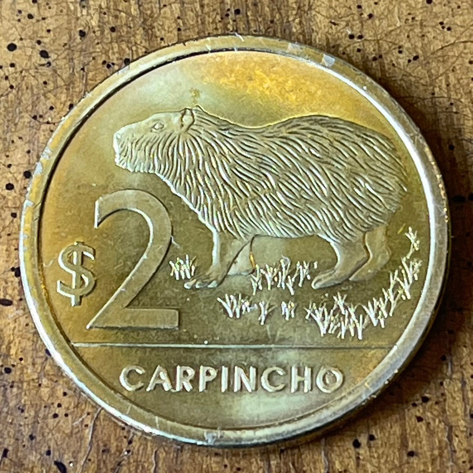 Capybara 2 Pesos Uruguay Authentic Coin Money for Jewelry and | Etsy