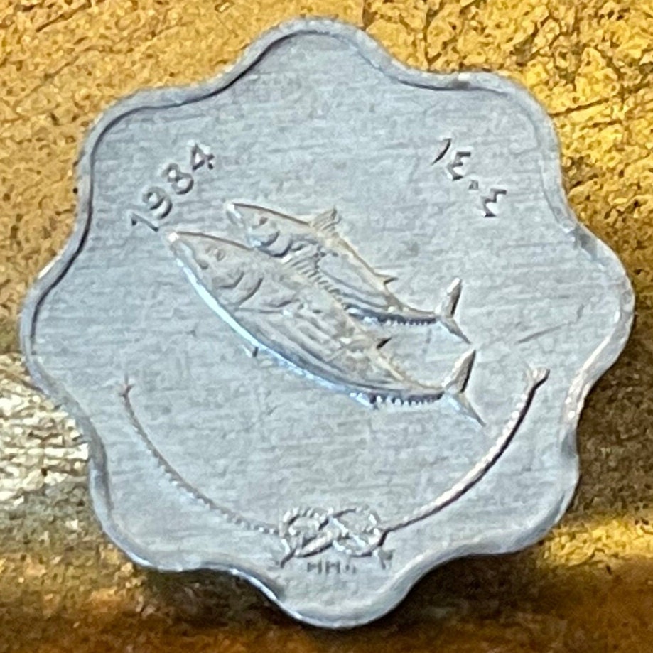 Bonito Fish & Reef Knot 5 Laari Maldives Authentic Coin Money - Etsy