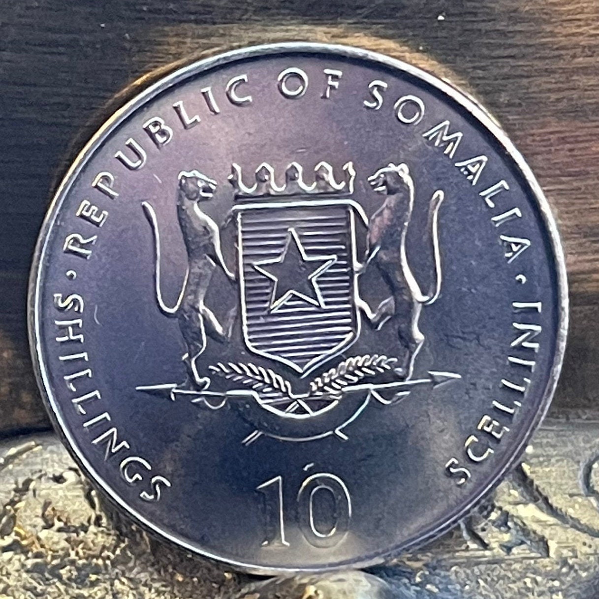 Year of the Rabbit 10 Shillings Somalia Authentic Coin Money - Etsy