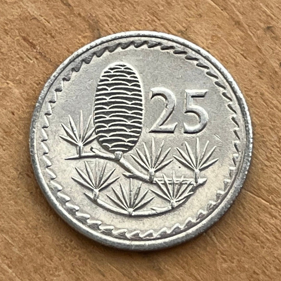 Cyprus 25 Mils Coin: Cedar Cone & Dove, 1960s, Jewelry Craft - Etsy