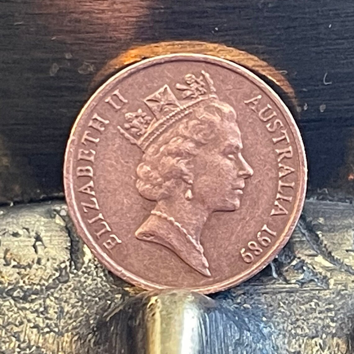 Feathertail Glider 1 Cent Australia Authentic Coin Money for | Etsy