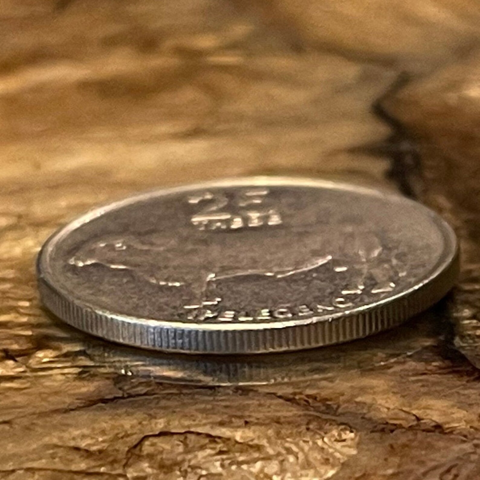 Zebu 25 Thebe Botswana Authentic Coin Money for Jewelry and - Etsy UK