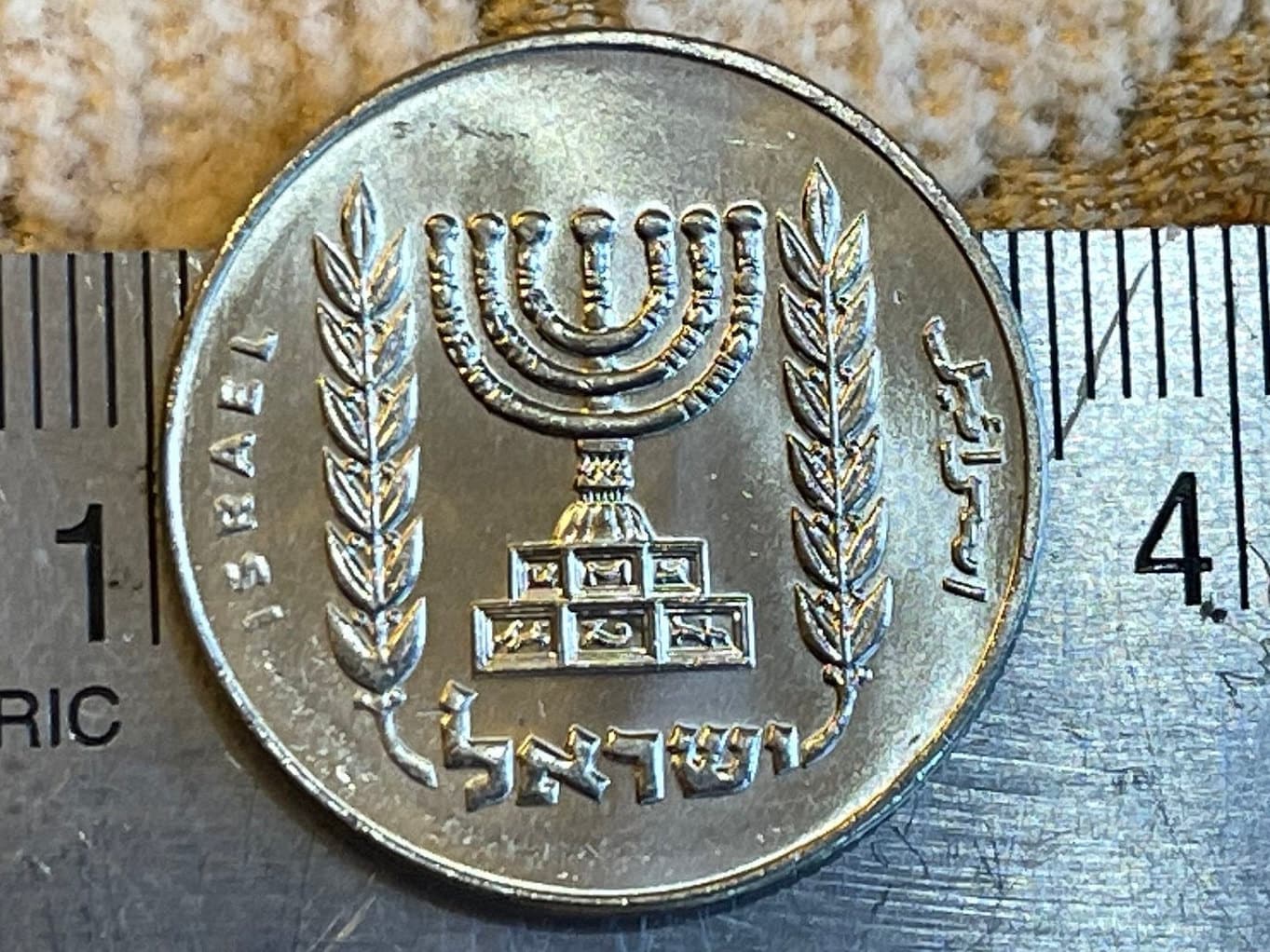 Menorah and Olive Branches 1/2 Lira Israel Authentic Coin - Etsy