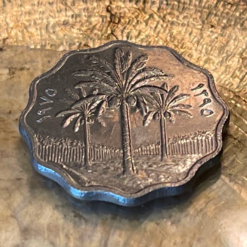 Date Palm Trees Iraq Coin: 5 Fils Scalloped Money, Jewelry Craft - Etsy
