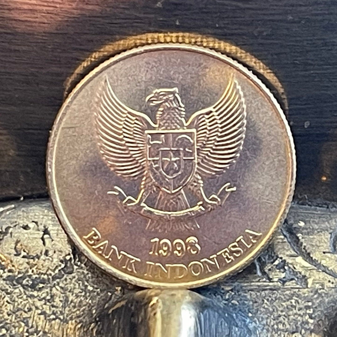 Komodo Dragon 50 Rupiah Indonesia Authentic Coin Money for - Etsy