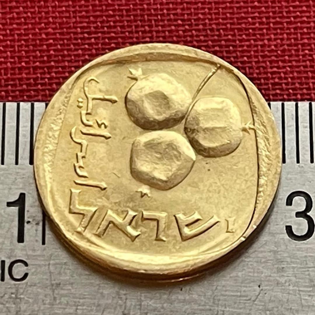 Pomegranates Israel 5 Agorot Coin: Authentic Jewelry Craft Supply - Etsy