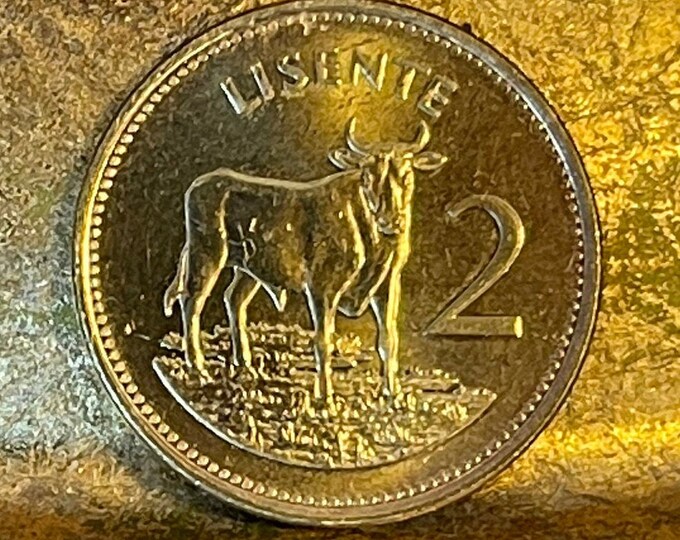 Kinnor Lyre 25 Agorot Israel Authentic Coin Money for Jewelry | Etsy