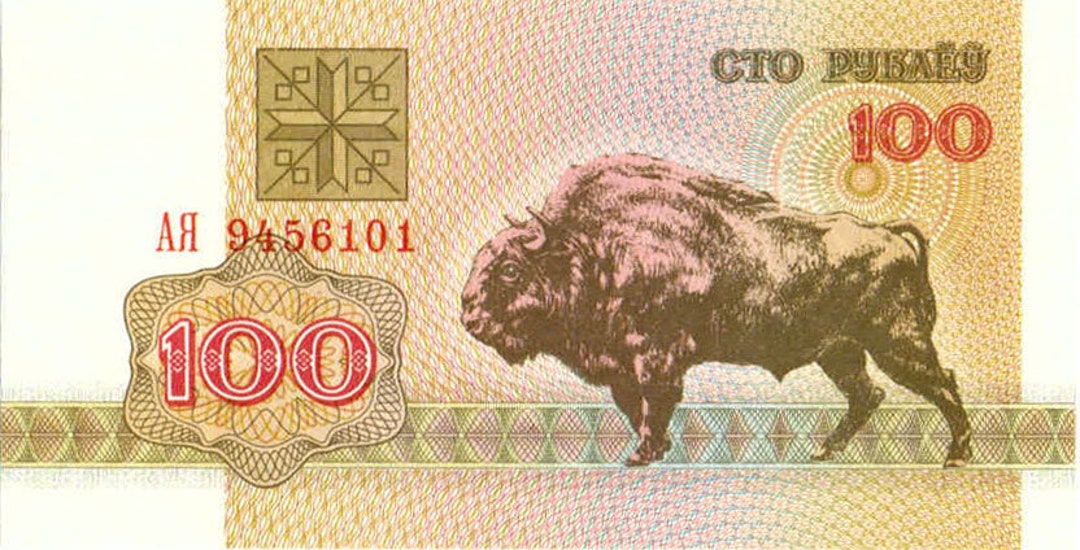 Bison 100 Rublei Belarus Authentic Banknote for Craft Making wisent ...