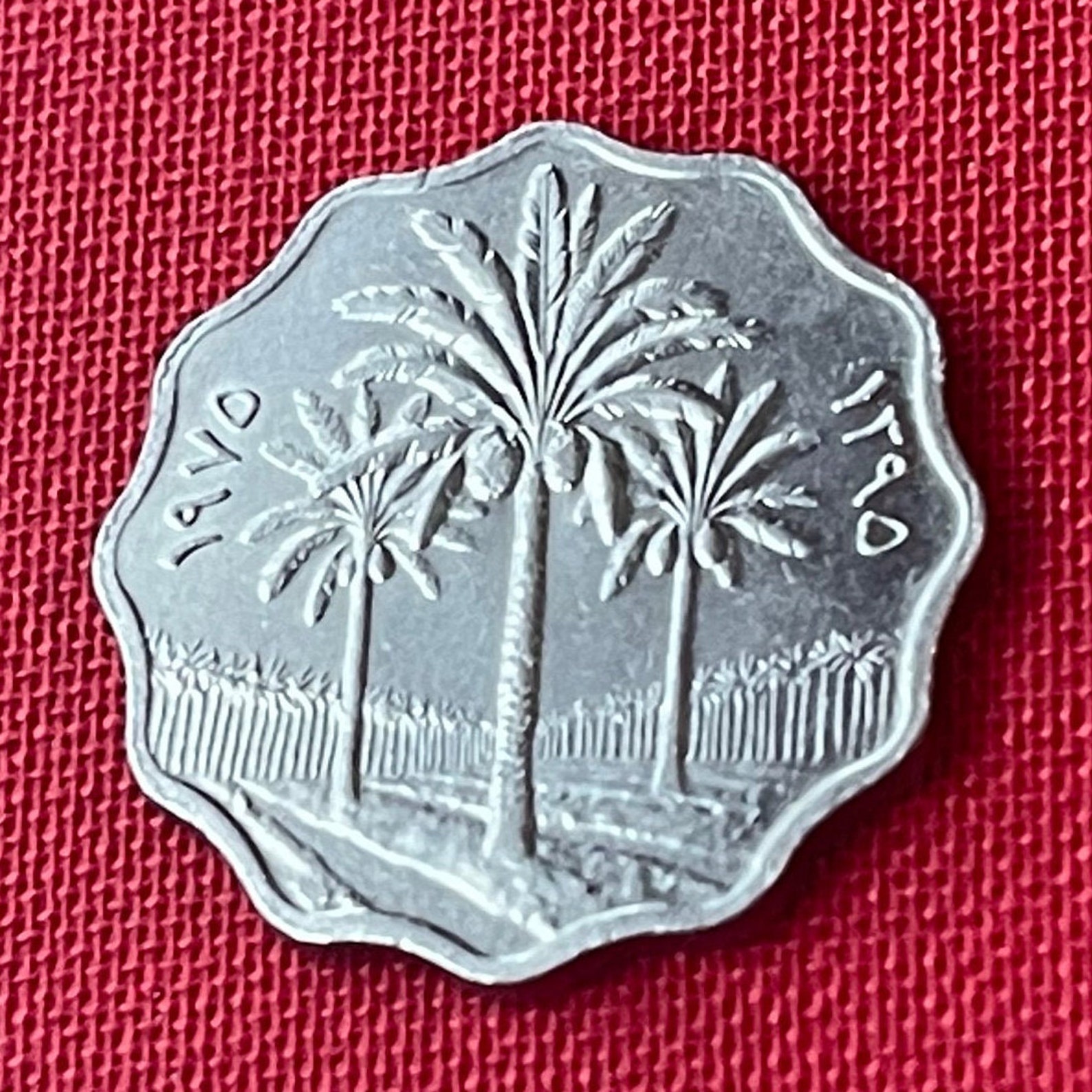 Date Palm Trees Iraq Coin: 5 Fils Scalloped Money, Jewelry Craft - Etsy