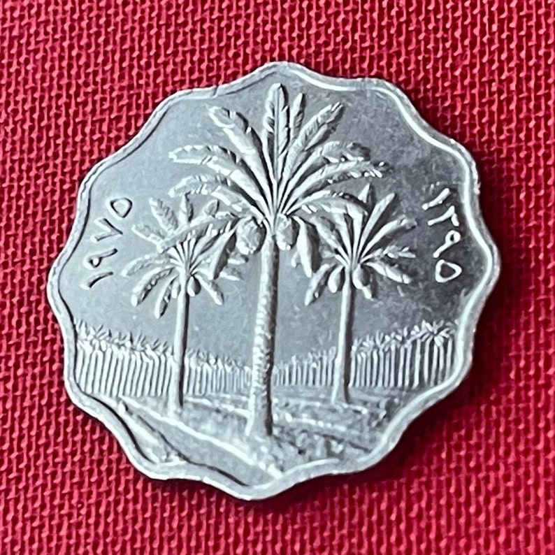 Date Palm Trees Iraq Coin: 5 Fils Scalloped Money, Jewelry Craft - Etsy