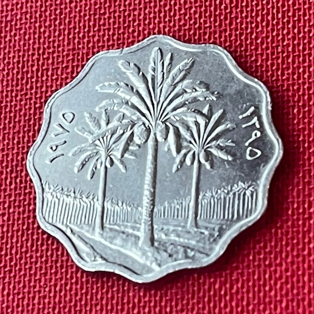 Date Palm Trees Iraq Coin: 5 Fils Scalloped Money, Jewelry Craft - Etsy