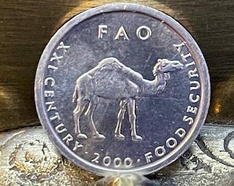 Camel Coin - Etsy